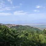 Kakheti: Wine tour from Tbilisi - Enjoy 6 sorts of wine - Final Thoughts: Who Should Sign Up?