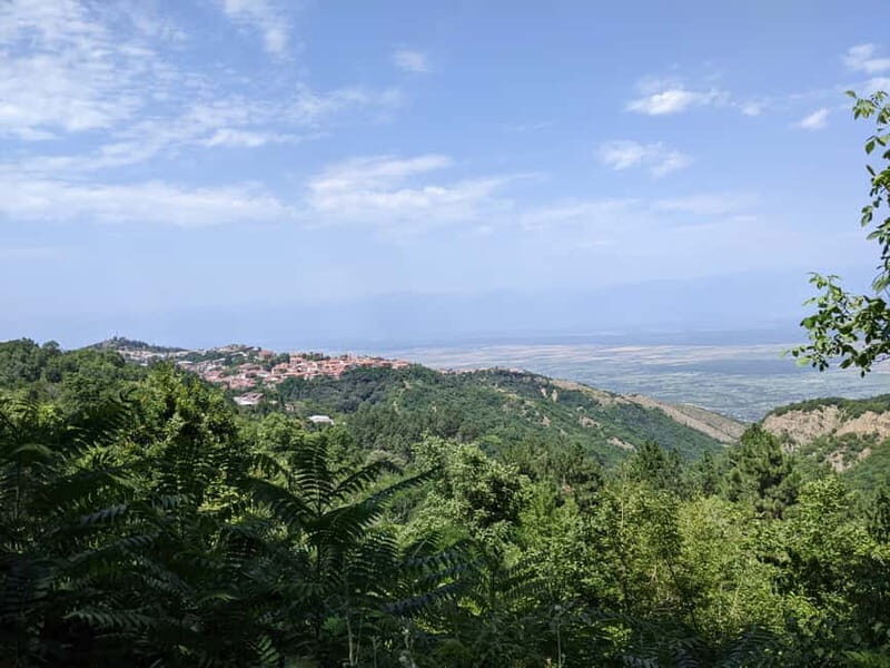 Kakheti: Wine tour from Tbilisi - Enjoy 6 sorts of wine - Final Thoughts: Who Should Sign Up?