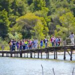 Karavasta Lagoon Adventure: Boat & Wildlife Tour from Durrës - Practical Considerations