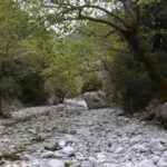 Kardamili : Hiking in Ridomo gorge - Who Will Love This Tour?