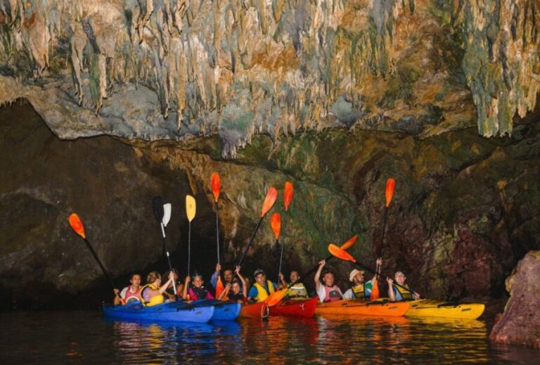 Kardamyli: Sea Kayaking With Lunch - An Overview of the Experience
