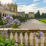 Kassel: Flowers, baroque and art - a walk from the island to the city - Practical Details & Tips