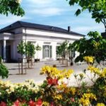 Kassel: pure relaxation and world culture - guided tour of the Bergpark - The Guided Experience