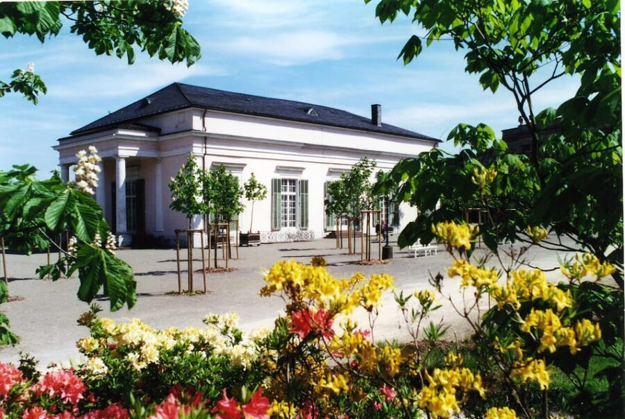 Kassel: pure relaxation and world culture - guided tour of the Bergpark - The Guided Experience