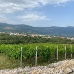 Kastela: Wine & Olive Tasting Tour w/Delicacies & Live Music - What Makes This Tour Special?