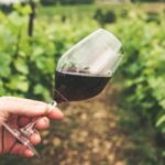 Kavala: VinoTour - Wineries Private Tour - How the Tour Begins: Meeting and Departure