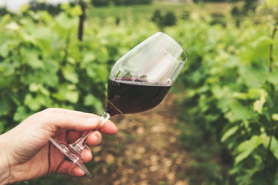 Kavala: VinoTour - Wineries Private Tour - How the Tour Begins: Meeting and Departure