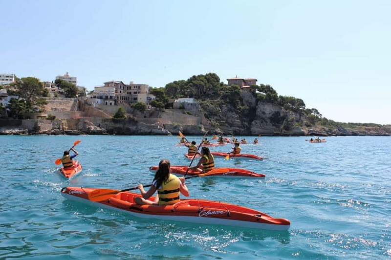 Kayak Excursion - What’s in the Price? Is it Good Value?