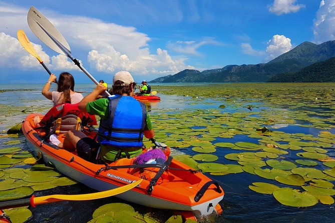 Kayak Guided Tour Skadar lake - Adventure in National park - Discovering Montenegro’s Hidden Treasure: The Kayak Guided Tour of Skadar Lake