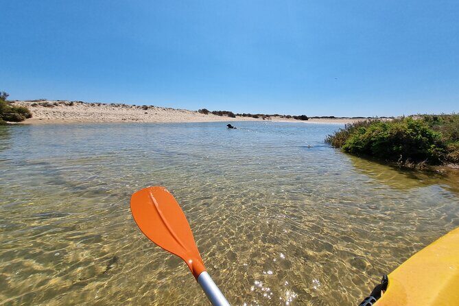 Kayak Rental in Praia dos Cavacos - Who Will Love This Tour?