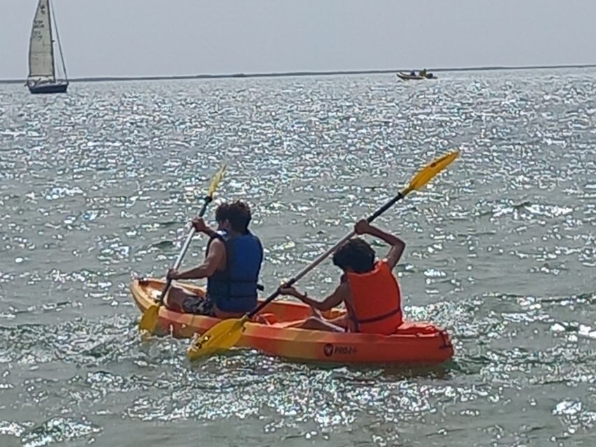 Kayak Tour in Ria Formosa - Olhão - An Authentic Taste of Algarve’s Natural Beauty