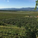 Kazanlak Full-Day Tour from Sofia - What’s Included and What’s Not?