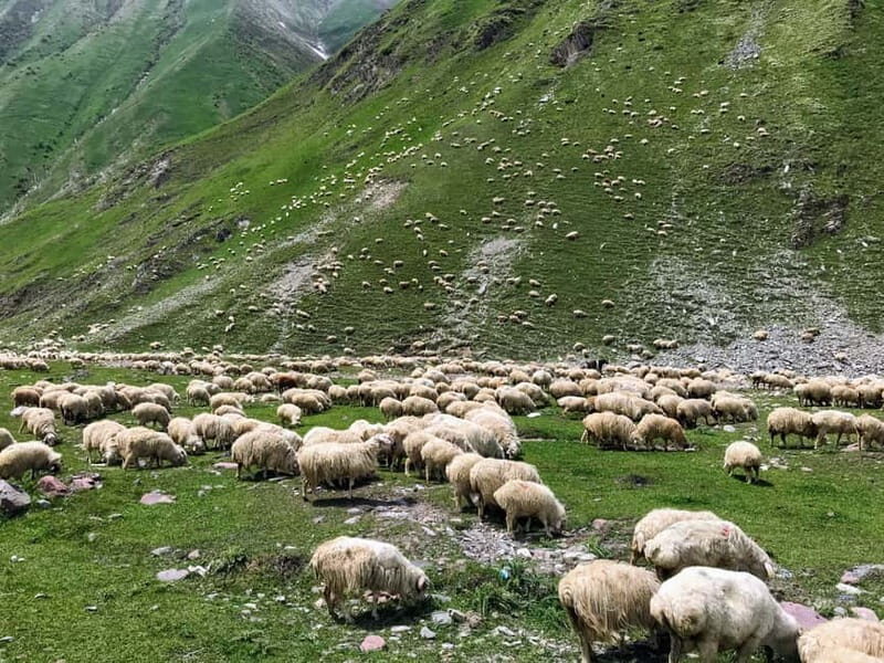 Kazbegi, Stepantsminda, and Gudauri Tour - Understanding the Value