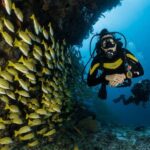 Kefalonia: Beginner Scuba Diving at Agia Efimia Village - What the Tour Includes and What It Doesn’t