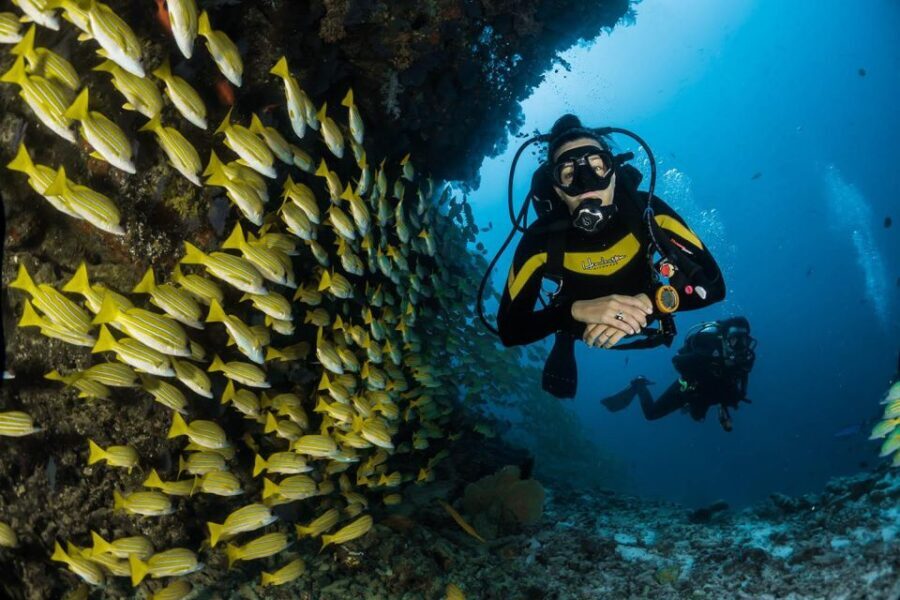Kefalonia: Beginner Scuba Diving at Agia Efimia Village - What the Tour Includes and What It Doesn’t