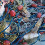 Kefalonia Fishing Tour: Tradition, Flavors & Turquoise Seas - Final Thoughts