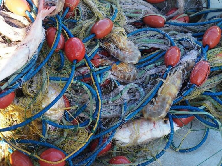 Kefalonia Fishing Tour: Tradition, Flavors & Turquoise Seas - Final Thoughts