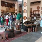 Kefalonia: Highlights Tour with Taste of Local Delights - What the Tour Includes and Excludes