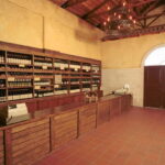 KEFALONIA: WINE TASTING TOUR - Who Will Benefit Most?