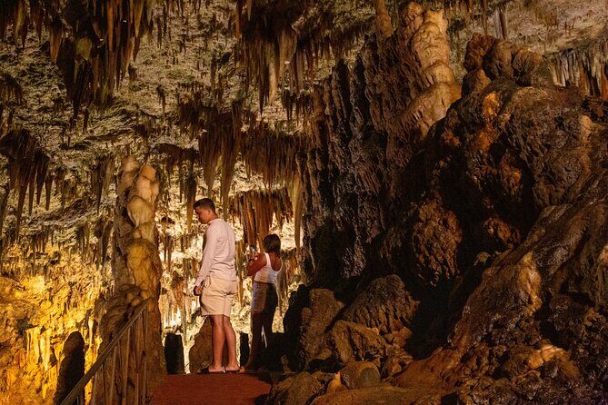 Kefalonia's Treasures - Exclusive Private Journey - The Authentic Benefits of This Tour
