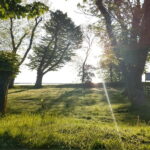 Keitum: Guided Village Walking Tour - A Deep Look at the Itinerary