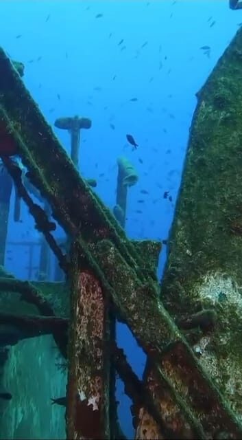 Kemer: Scuba Diving Experience in Aquarium and Kiris Bays - Who This Tour Is Best For