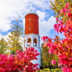 Kemeri N Park, Jurmala, Lake Melnezers & White Castle Hotel - The Experience: Pros and Cons