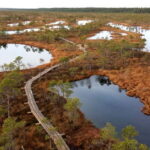 Kemeri National Park & Baltic Seaside Tour Bog Boardwalk - The Experience and Value