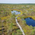 Kemeri National Park Bog Trail near Riga - Exploring the Kemeri Bog Trail