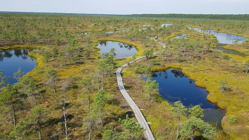 Kemeri National Park Bog Trail near Riga - Exploring the Kemeri Bog Trail