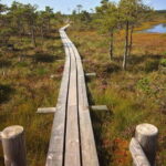 Kemeri National Park Guided Tour - Why This Tour Is Worth Considering