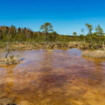 Kemeri National Park Outdoor Tour - What’s Included and What’s Not