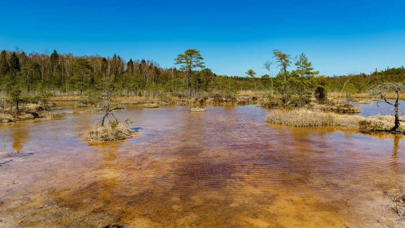 Kemeri National Park Outdoor Tour - What’s Included and What’s Not