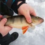 Kemi-Tornio: Ice Fishing Safari with Snowmobiles - A Deep Dive Into the Arctic: What the Tour Offers