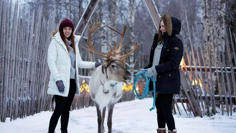 Kemi-Tornio: Reindeer farm experience - Final Verdict: Who Should Book This Tour?