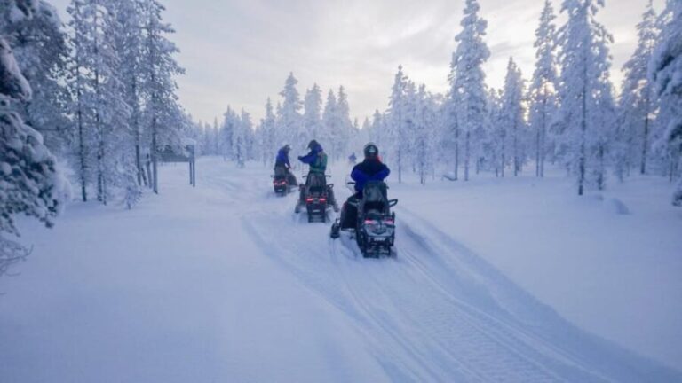 Kemi-Tornio: Snowmobile Forest Safari w/ Hot Drink & Snacks - The Route: Cross the Frozen Sea and Into the Forest