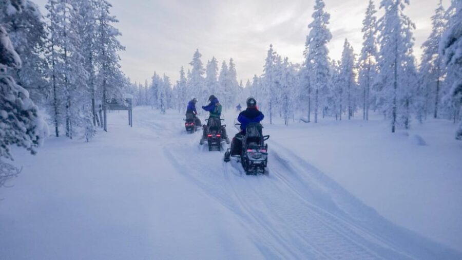 Kemi-Tornio: Snowmobile Forest Safari w/ Hot Drink & Snacks - The Route: Cross the Frozen Sea and Into the Forest
