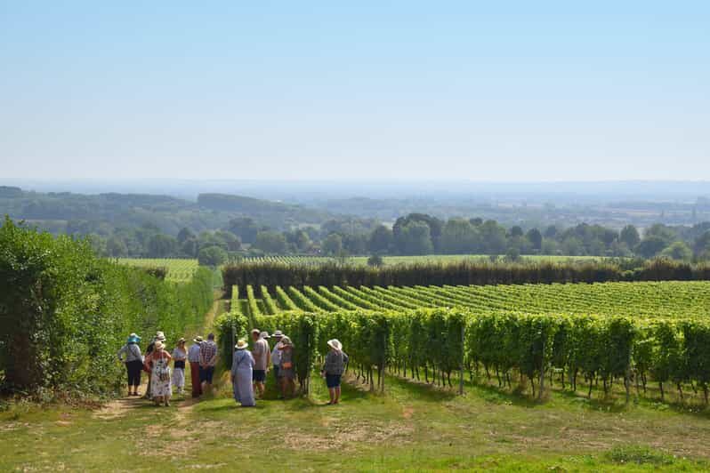 Kent: Yotes Court Vineyard Tour and Tasting - An Introduction to Yotes Court Vineyard