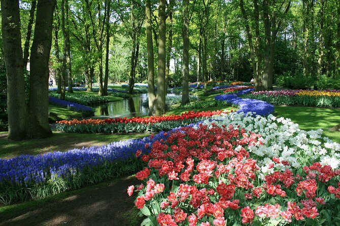 Keukenhof and Flower Fields Private Tour from Amsterdam - The Itinerary in Detail