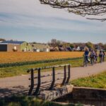 Keukenhof: Flower Fields Small-Group Cultural Bike Tour - The Value of the Tour