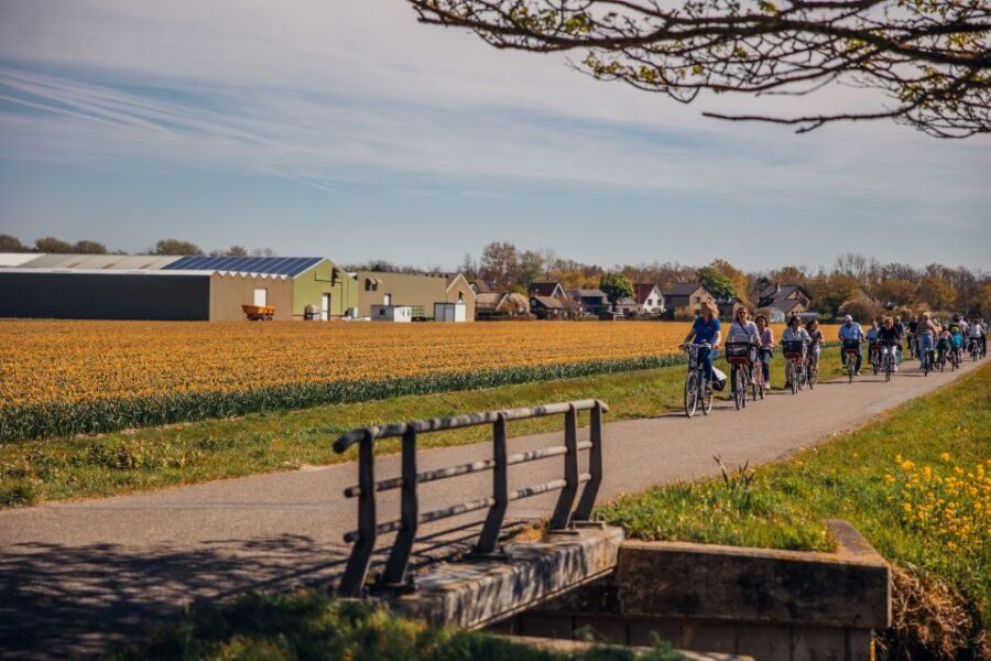 Keukenhof: Flower Fields Small-Group Cultural Bike Tour - The Value of the Tour