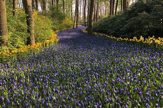 Keukenhof, Tulip Farm, Flower Fields & Zaanse Schans Windmills - FAQs