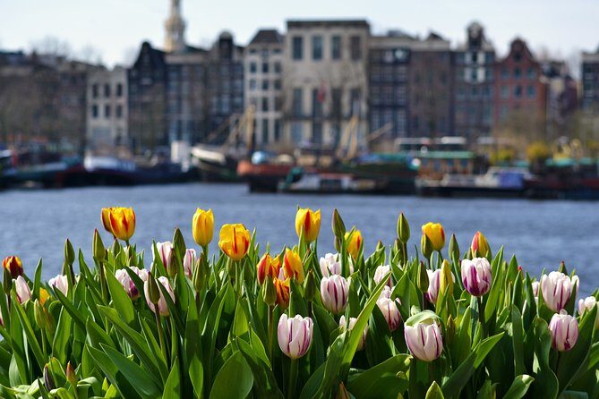 Keukenhof & Zaanse Schans (Best of Holland with windmill) Guided Tour with local - The Sum Up: Who Is This Tour Best For?