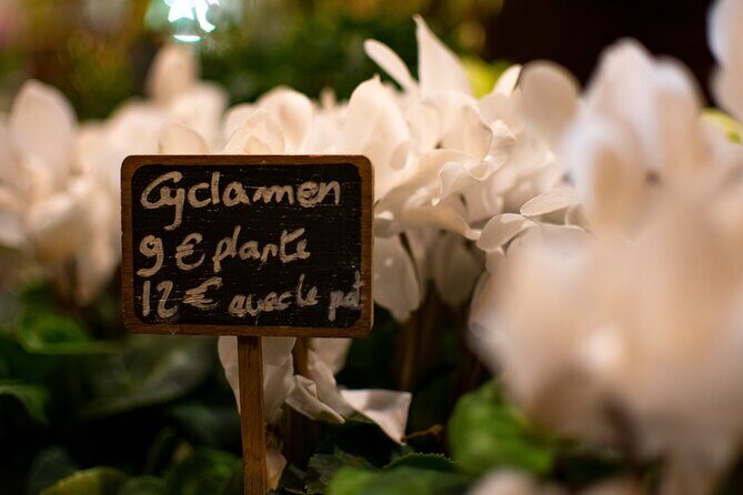 Kids and Families Marais Private Tour in Paris including Jewish Quarter - Is This Tour Worth the Price?