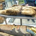 Kids & Families Tour of London British Museum with Exclusive Guide - The Itinerary Breakdown