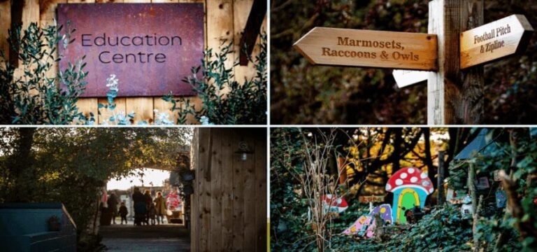 Kildare: Clonfert Farm General Admission Ticket - Value and Practical Considerations