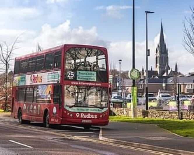 Killarney: Hop-On Hop-Off Bus to Killarney National Park - Authentic Experiences and Traveler Insights