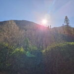 Killarney: Lakes Boat Tour, Meeting of the Waters - The Itinerary Breakdown