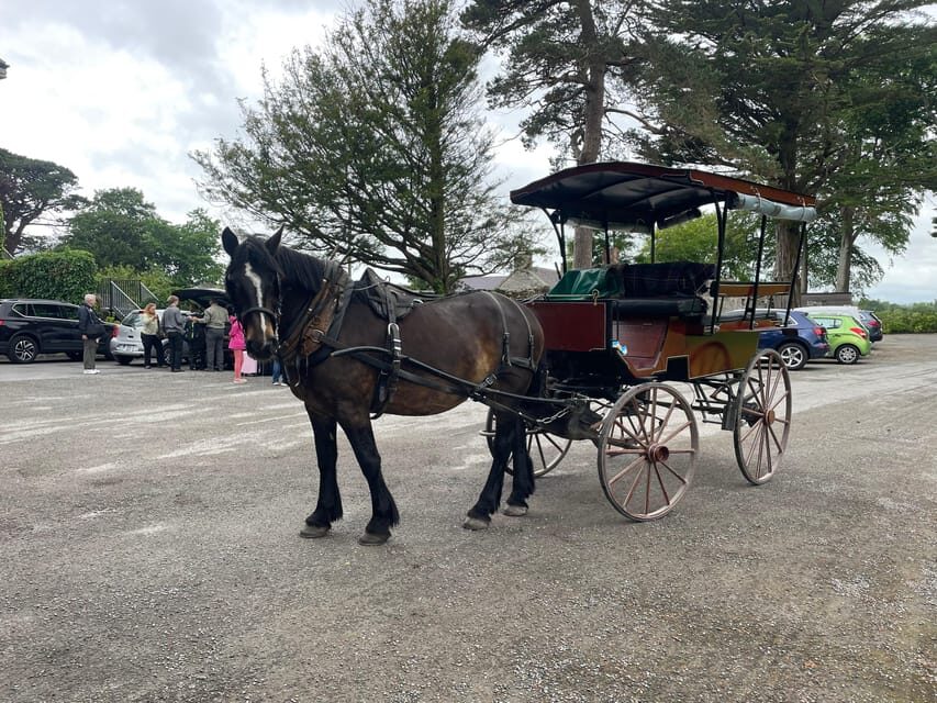 Killarney National Park Jaunting Car Tour - Why the Killarney National Park Jaunting Car Tour Stands Out