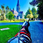Killarney National Park Tour - What Sets This Tour Apart?